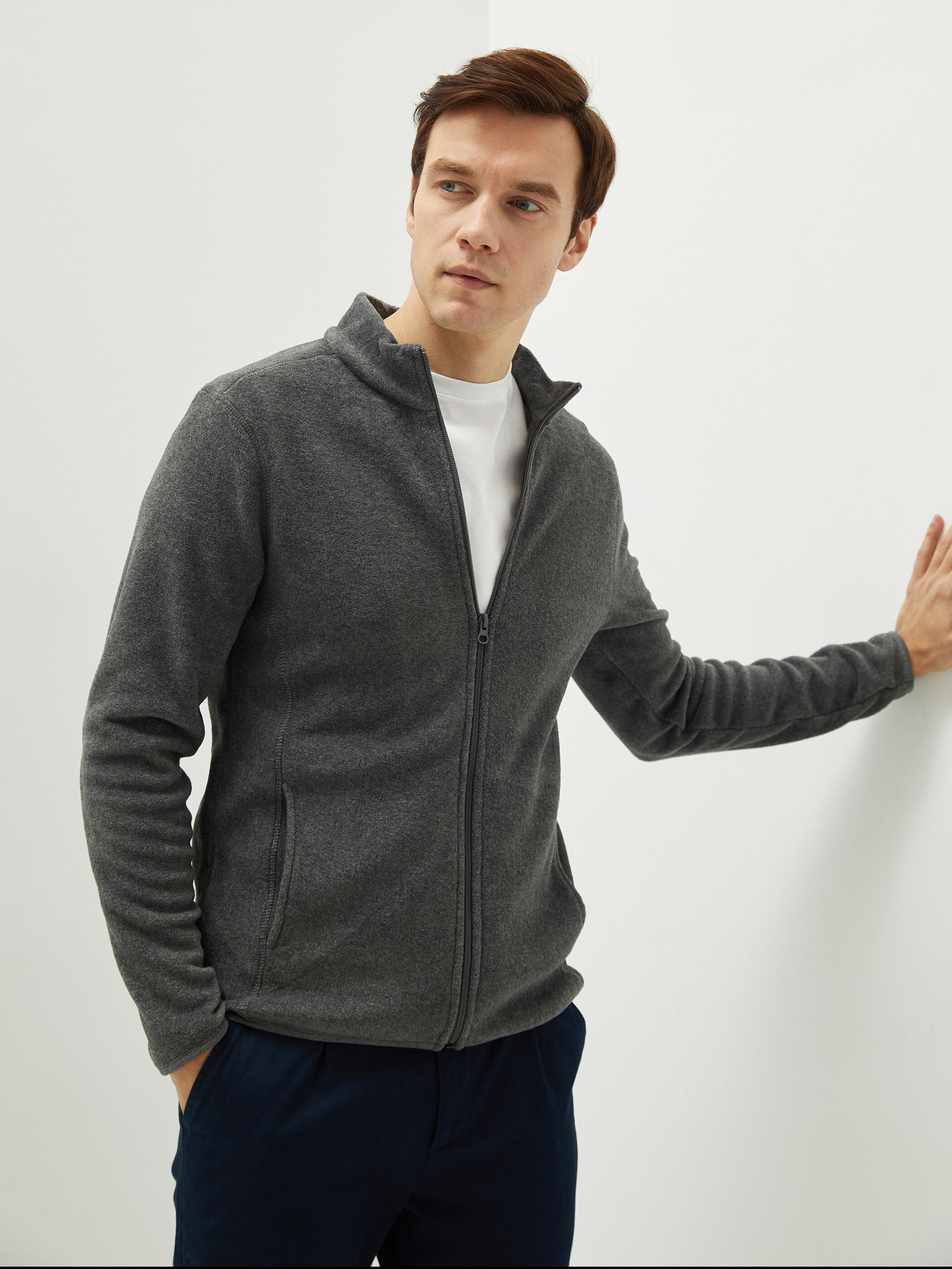 LCW BASIC Dik Yaka Uzun Kollu Polar Erkek Sweatshirt